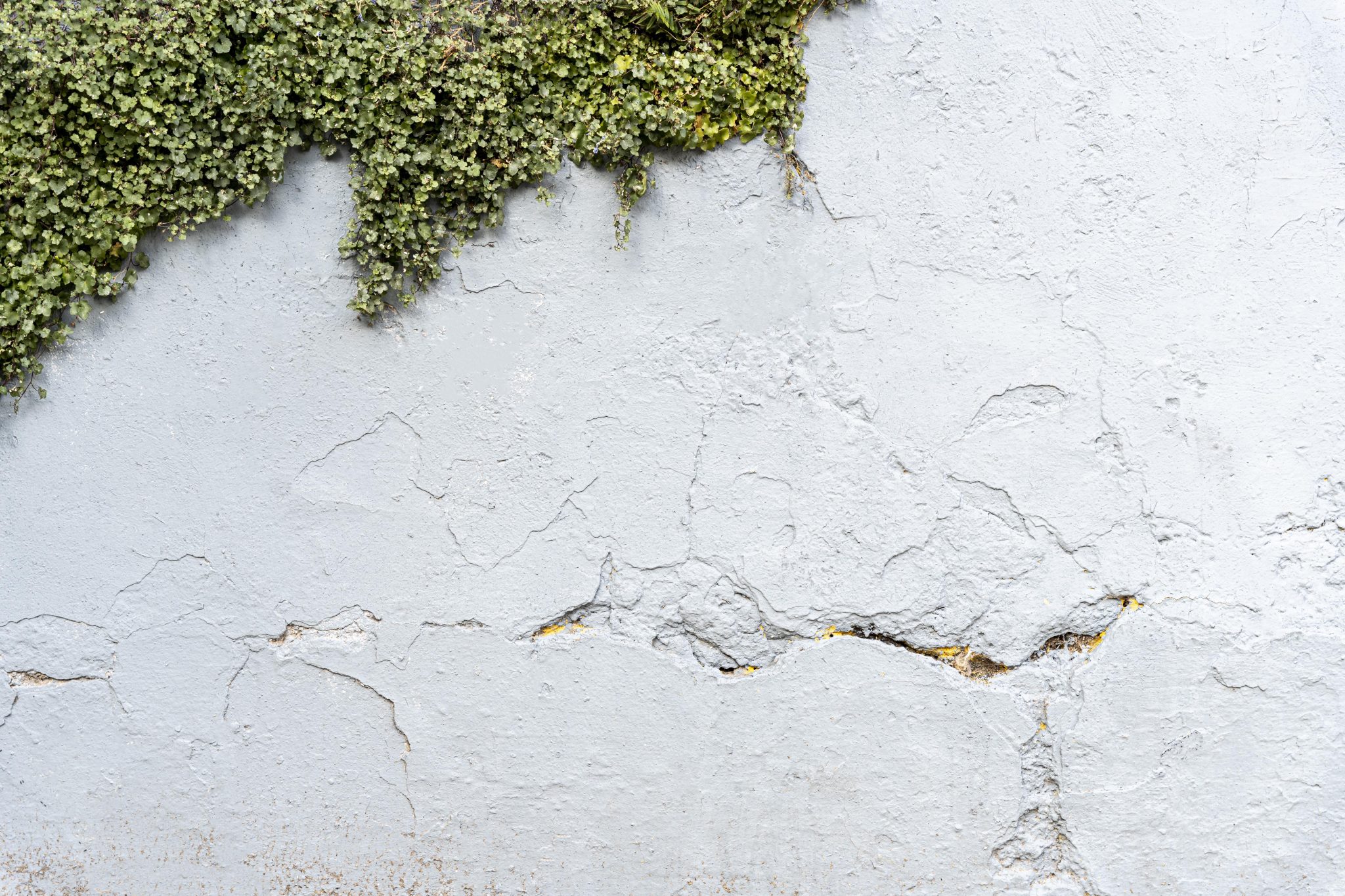 Common Water Leakage Problems and Solutions | JK Cement